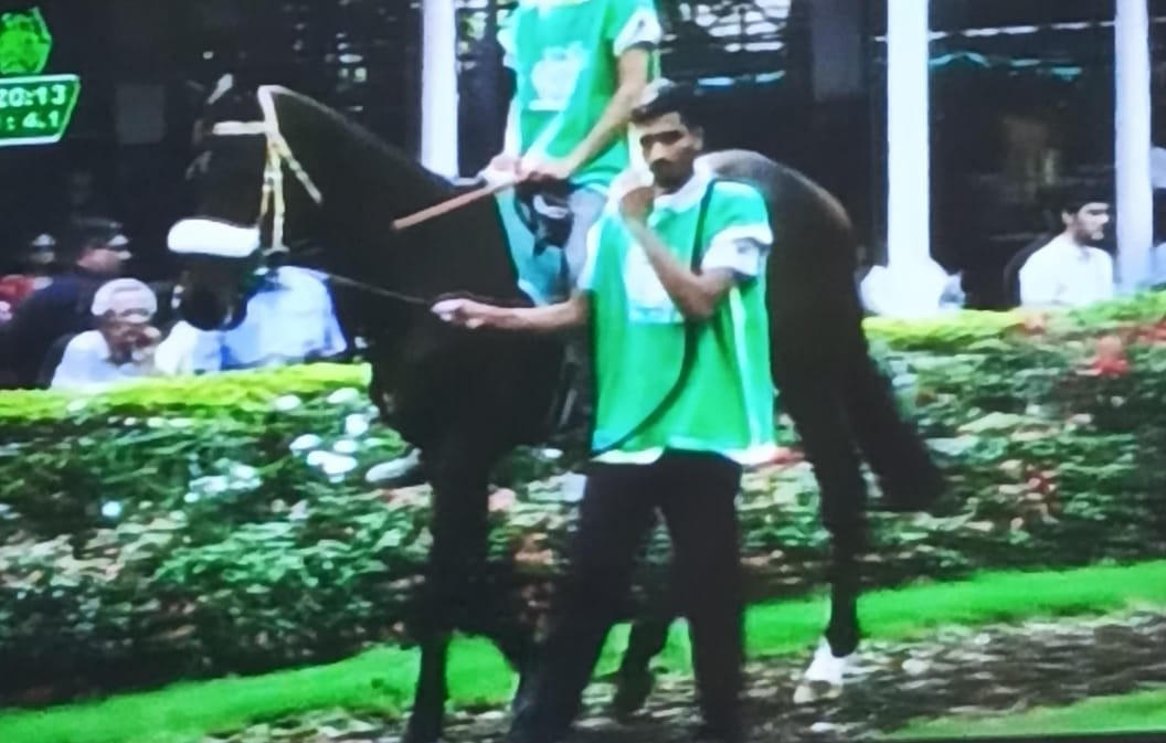 [69] The Ramniwas Ramnarain Ruia Gold Cup (Grade III) - Terms, 4-year ...