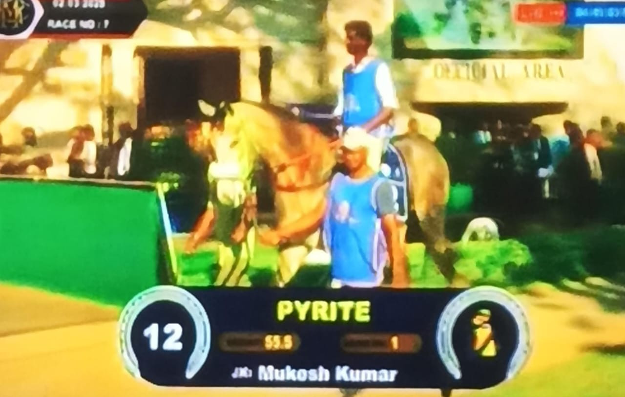 [211] The HPSL Royal Arion Indian Turf Invitation Cup (Grade I) - Terms ...